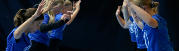 Finnish Handball Federation – Suomen Käsipalloliitto